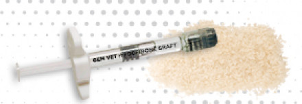 Orthopedic Grafts - Veterinary Transplant Services, Inc